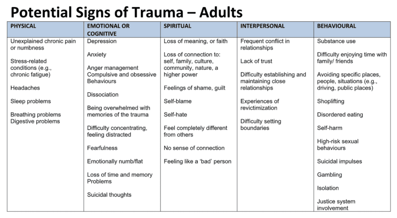 Trauma Informed Practice & Assessment - SafeGuards Training
